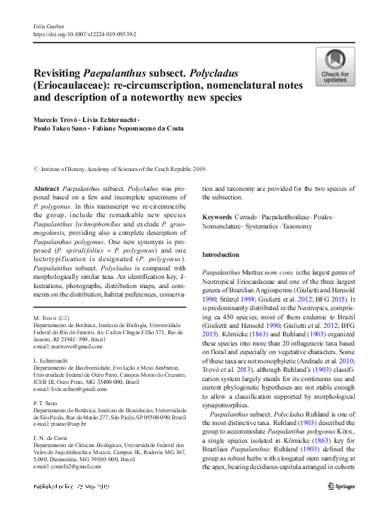 (PDF) Revisiting Paepalanthus subsect. Polycladus (Eriocaulaceae): re ...