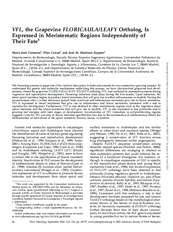 (PDF) VFL, the Grapevine FLORICAULA/LEAFYOrtholog, Is Expressed in ...