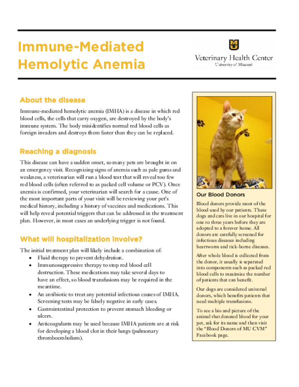(PDF) Immune-Mediated Hemolytic Anemia