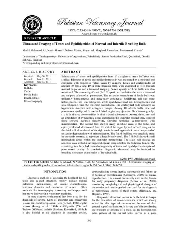 (PDF) Ultrasound Imaging of Testes and Epididymides of Normal and ...