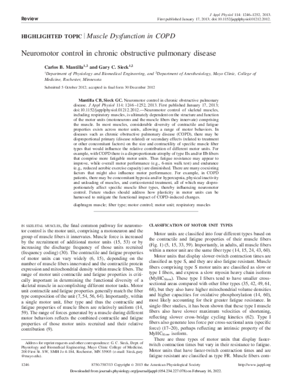 (PDF) Neuromotor control in chronic obstructive pulmonary disease