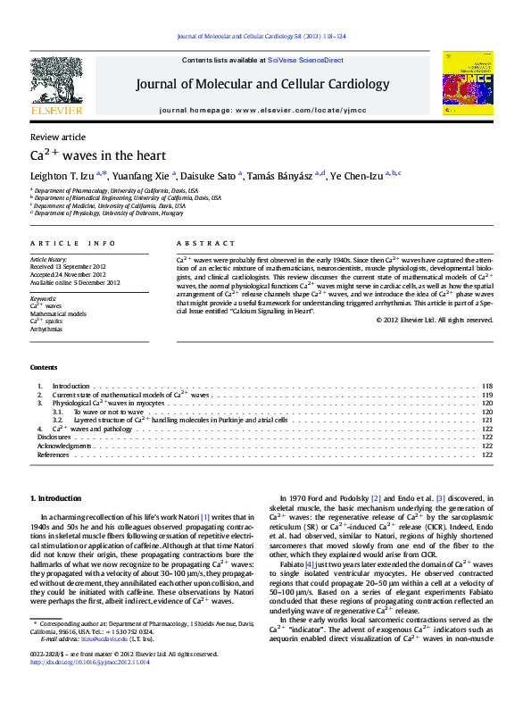 (PDF) Ca2+ waves in the heart