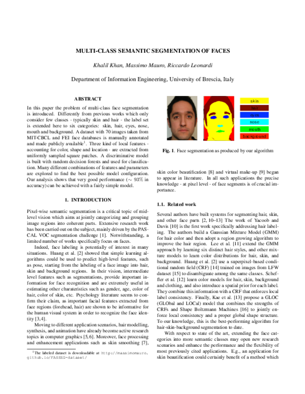 (PDF) Multi-class semantic segmentation of faces