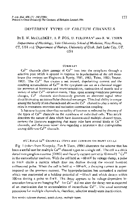 (PDF) Different Types of Calcium Channels