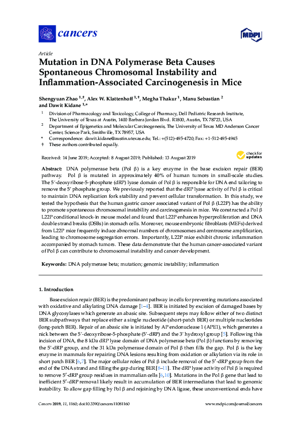 (PDF) Mutation in DNA Polymerase Beta Causes Spontaneous Chromosomal ...