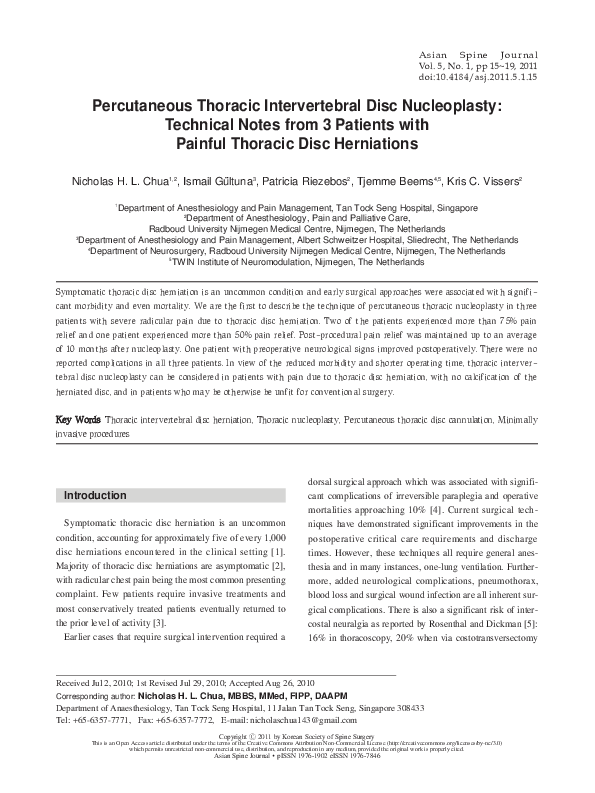 (PDF) Percutaneous Thoracic Intervertebral Disc Nucleoplasty: Technical ...