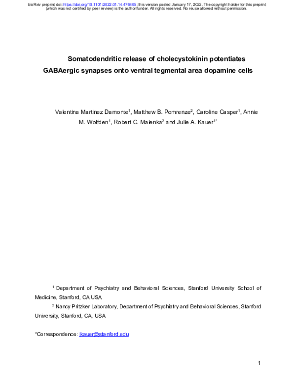 (PDF) Somatodendritic Release of Cholecystokinin Potentiates GABAergic ...