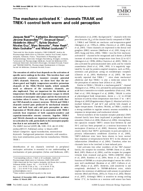 (PDF) The mechano-activated K+ channels TRAAK and TREK-1 control both ...