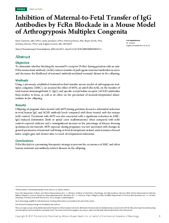 Inhibition of Maternal-to-Fetal Transfer of IgG Antibodies by FcRn ...