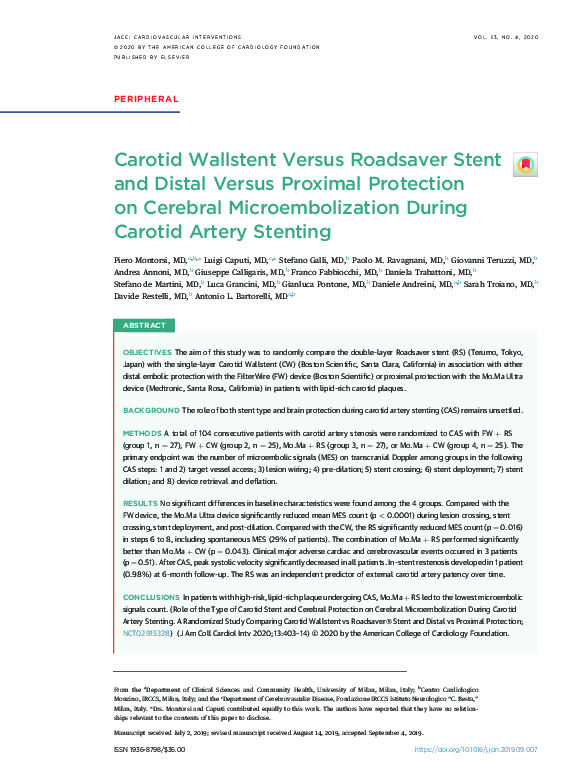 (PDF) Carotid Wallstent Versus Roadsaver Stent and Distal Versus ...