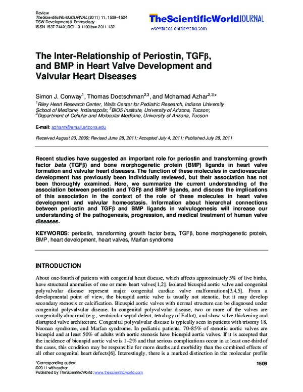 (PDF) The inter-relationship of periostin, TGF beta, and BMP in heart ...