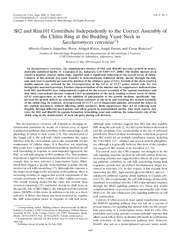 (PDF) Slt2 and Rim101 Contribute Independently to the Correct Assembly ...