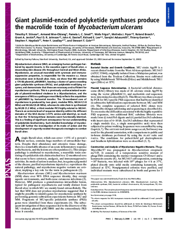 (PDF) Giant plasmid-encoded polyketide synthases produce the macrolide ...