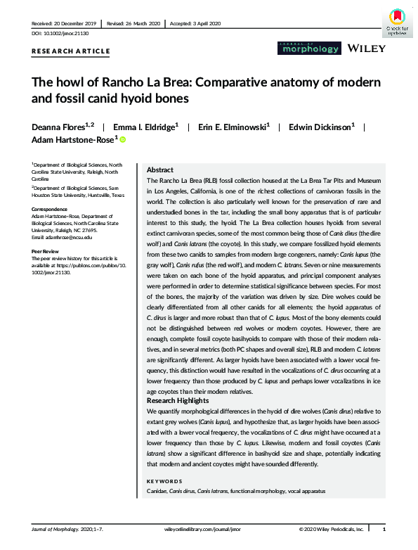 (PDF) The howl of Rancho La Brea : Comparative anatomy of modern and ...