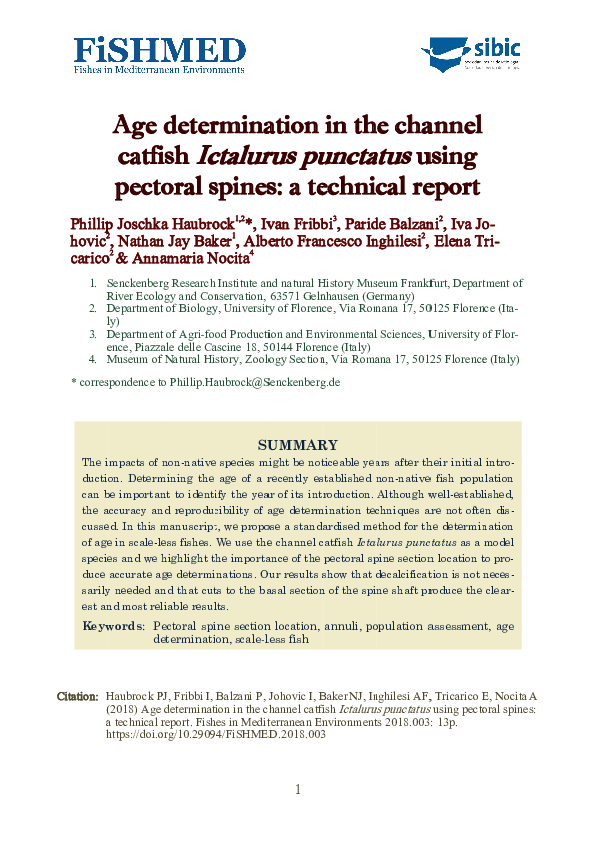(PDF) Age determination in the channel catfish Ictalurus punctatus ...