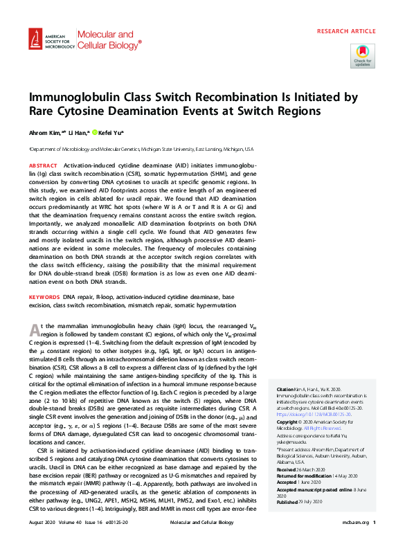 (PDF) Immunoglobulin Class Switch Recombination Is Initiated by Rare ...