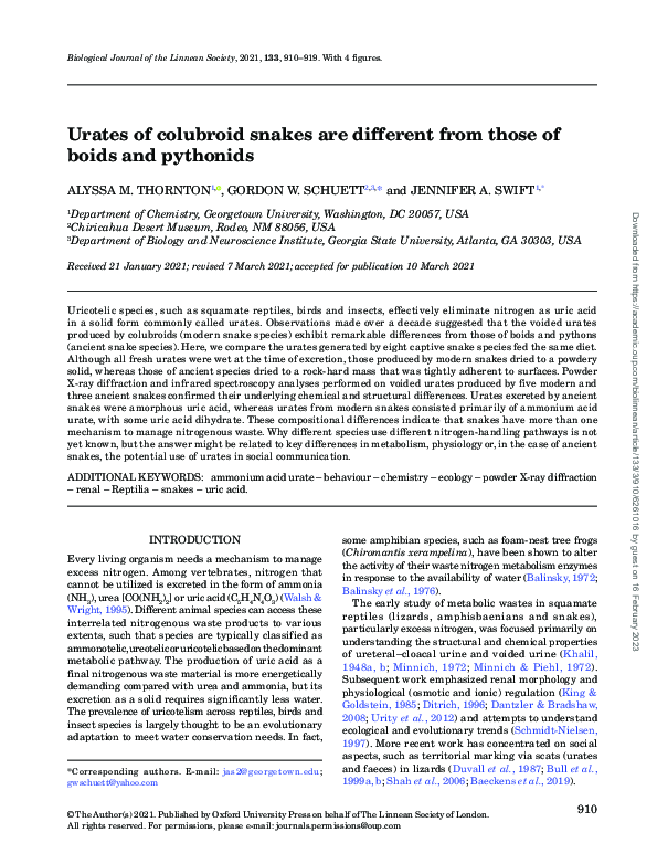 (PDF) Urates of colubroid snakes are different from those of boids and ...