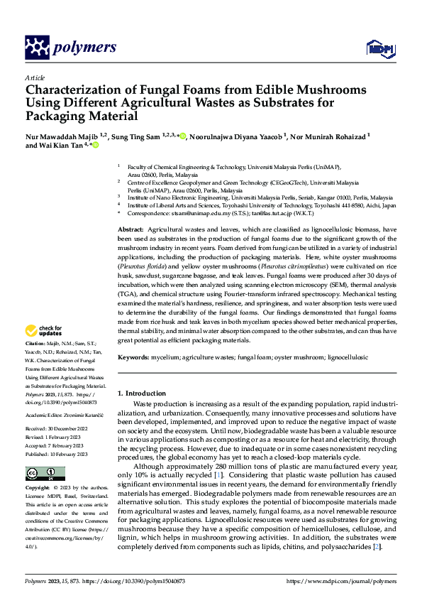(PDF) Characterization of Fungal Foams from Edible Mushrooms Using ...