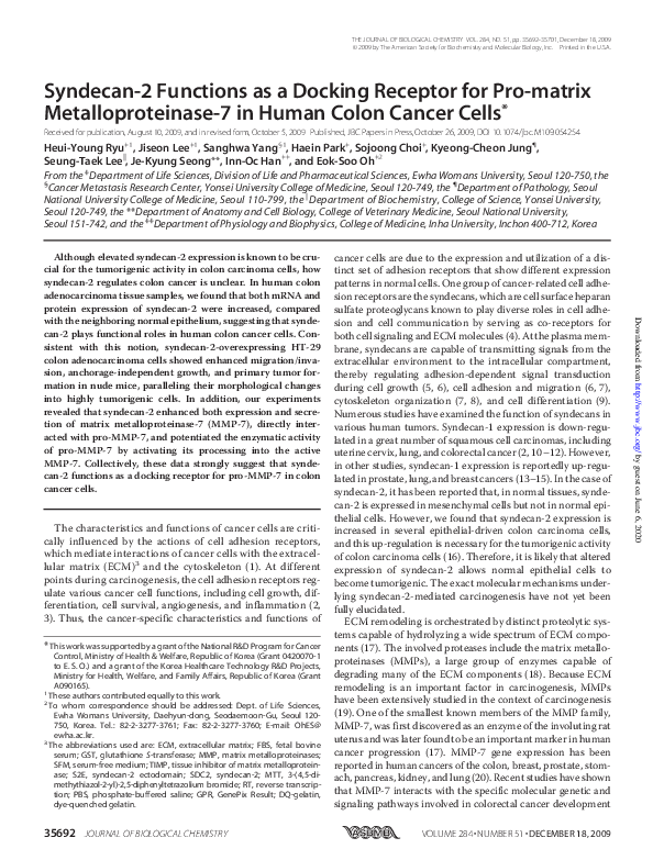 (PDF) Syndecan-2 Functions as a Docking Receptor for Pro-matrix ...