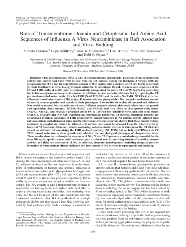 (PDF) Role of Transmembrane Domain and Cytoplasmic Tail Amino Acid ...