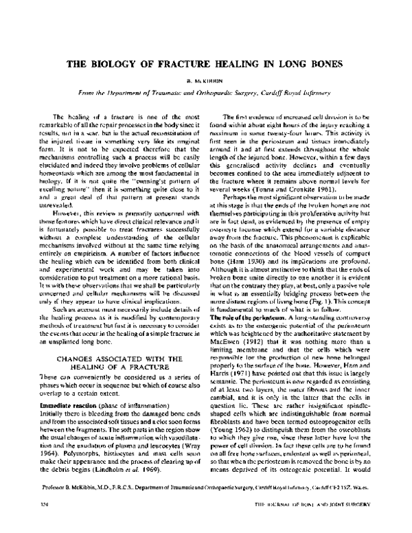 (PDF) The Biology of Fracture Healing in Long Bones