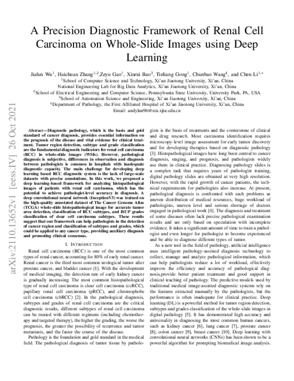 (PDF) A Precision Diagnostic Framework of Renal Cell Carcinoma on Whole-Slide Images using Deep ...