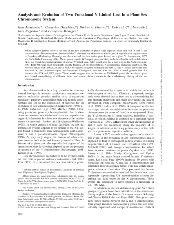 Analysis And Evolution Of Two Functional Y Linked Loci In A Plant Sex 1926