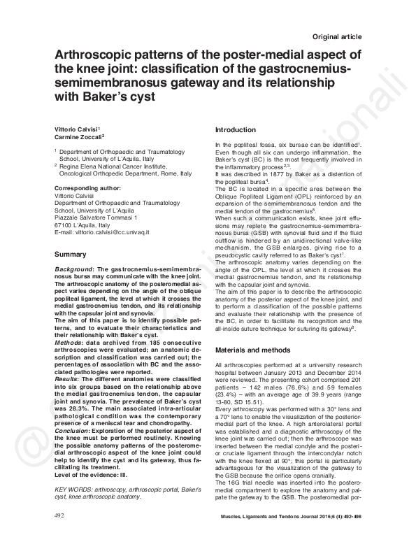 (PDF) Arthroscopic patterns of the poster-medial aspect of the knee ...