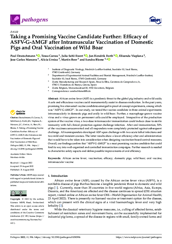 (PDF) Taking a Promising Vaccine Candidate Further: Efficacy of ASFV-G ...