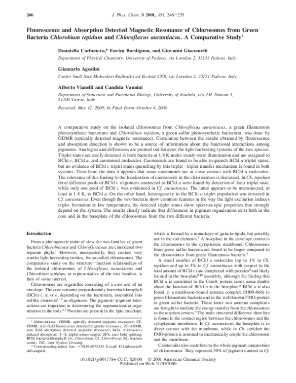 (PDF) Fluorescence and Absorption Detected Magnetic Resonance of ...