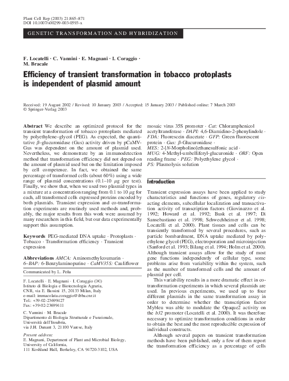 (PDF) Efficiency of transient transformation in tobacco protoplasts is ...