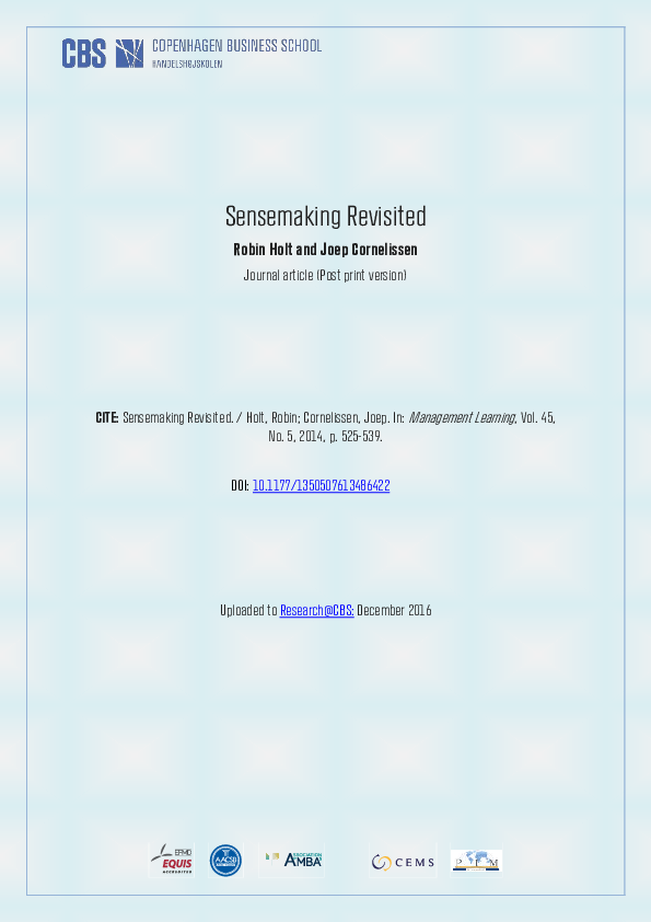(PDF) Sensemaking revisited