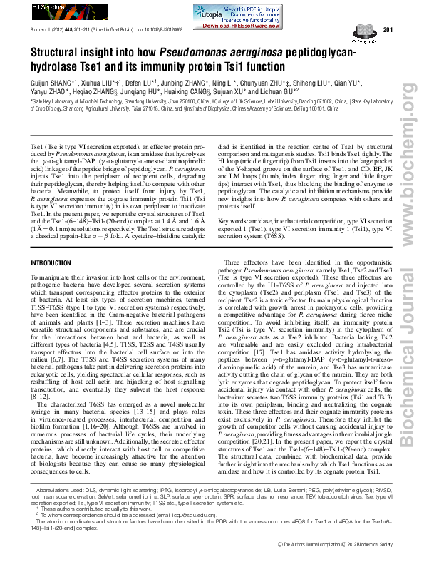 (PDF) Structural insight into how Pseudomonas aeruginosa ...