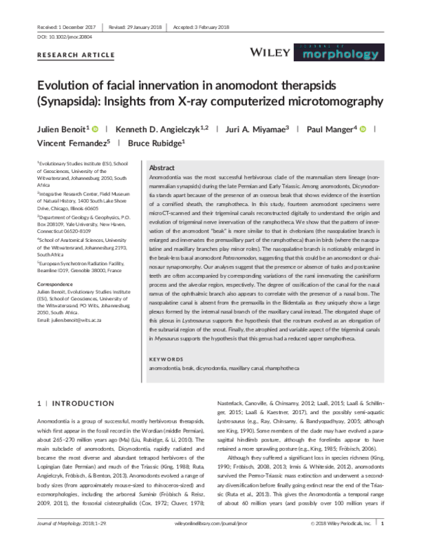 (PDF) Evolution of facial innervation in anomodont therapsids ...
