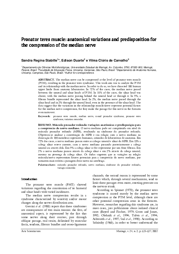 (PDF) Pronator teres muscle: anatomical variations and predisposition ...