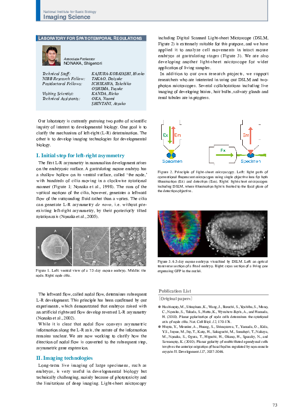 (PDF) Planar polarization of node cells determines the rotational axis ...