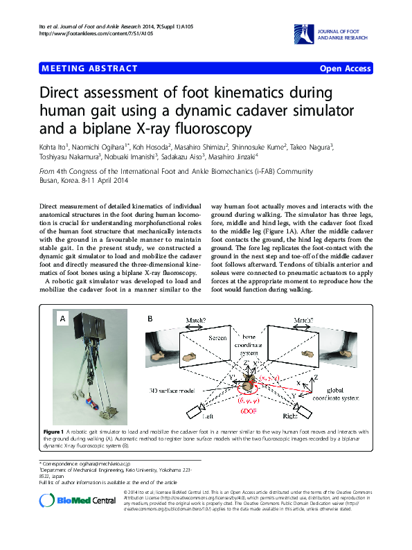 (PDF) Direct assessment of foot kinematics during human gait using a ...