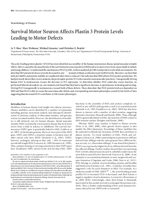 (PDF) Survival Motor Neuron Affects Plastin 3 Protein Levels Leading to ...