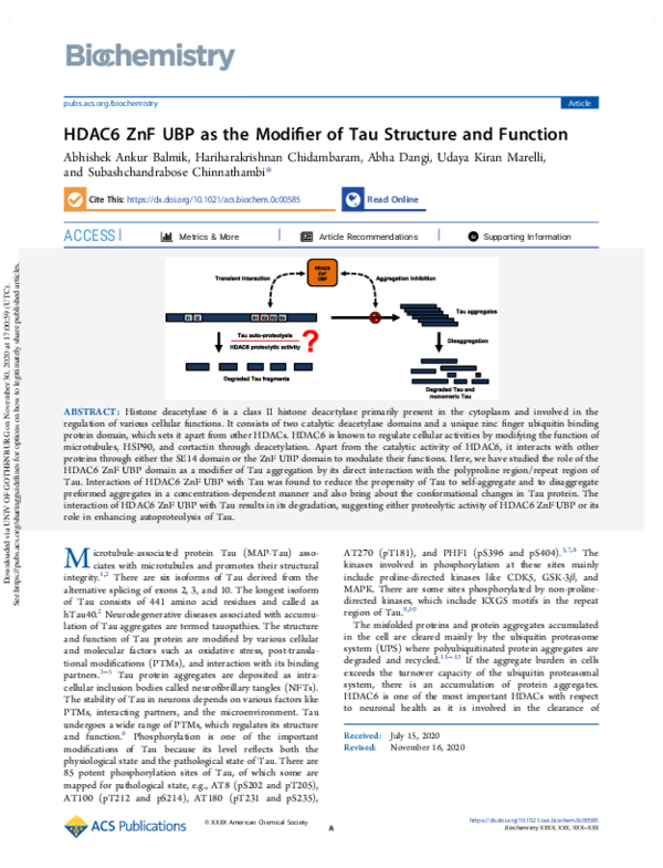 (PDF) HDAC6 ZnF UBP as the Modifier of Tau Structure and Function