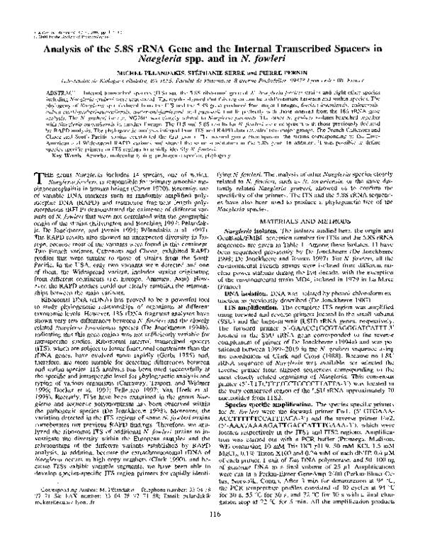 (PDF) Analysis of the 5.8S rRNA Gene and the Internal Transcribed ...