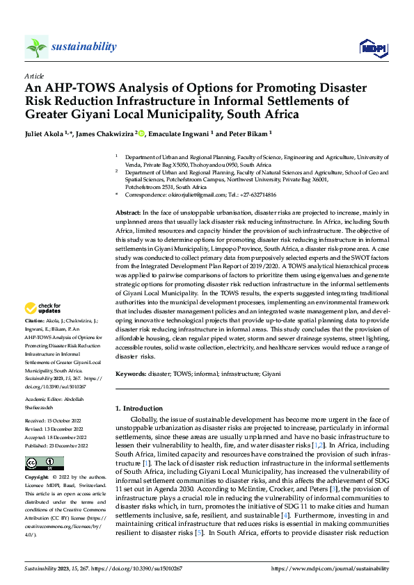 (PDF) An AHP-TOWS Analysis of Options for Promoting Disaster Risk ...