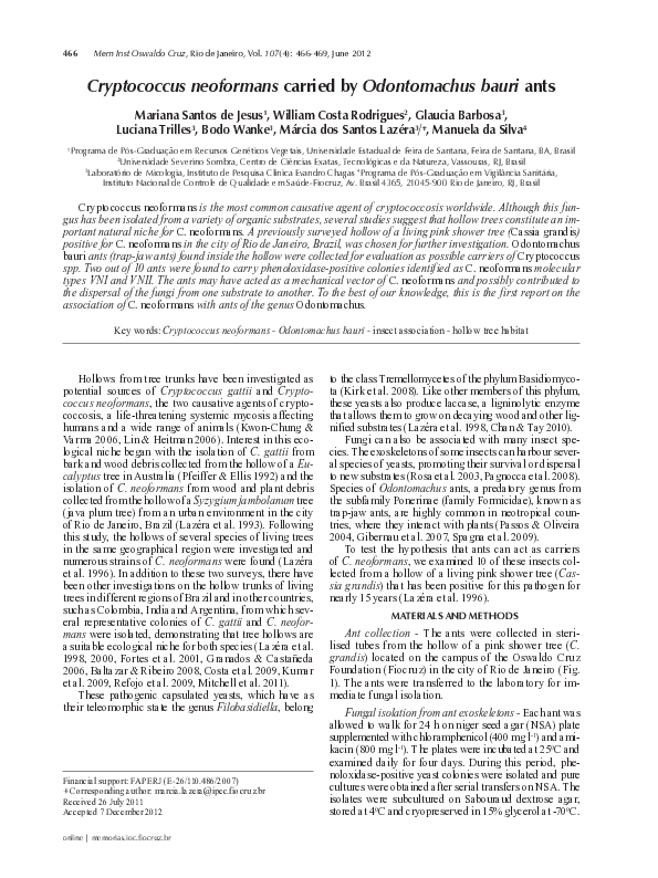 (PDF) Cryptococcus neoformans carried by Odontomachus bauri ants