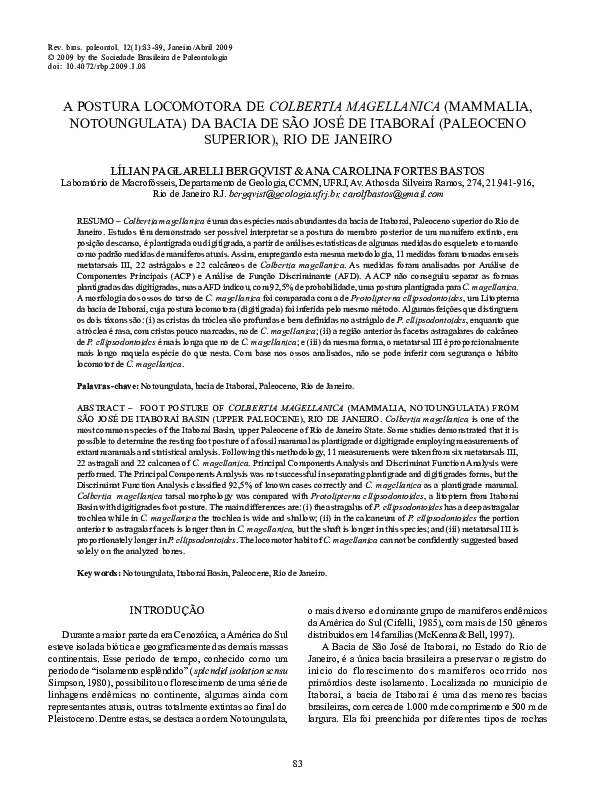 (PDF) Foot posture of Colbertia magellanica (Mammalia, Notoungulata ...