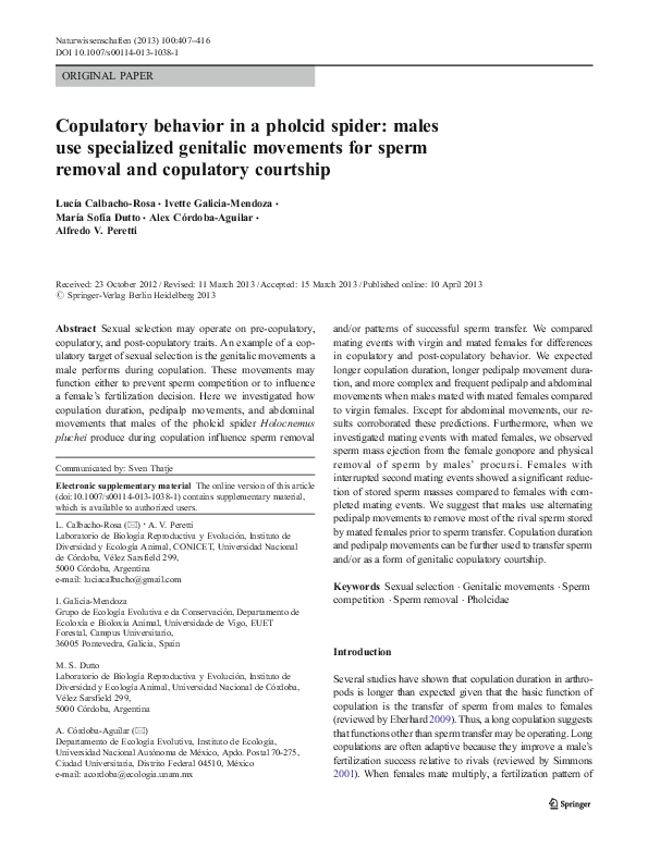 (PDF) Copulatory behavior in a pholcid spider: males use specialized ...