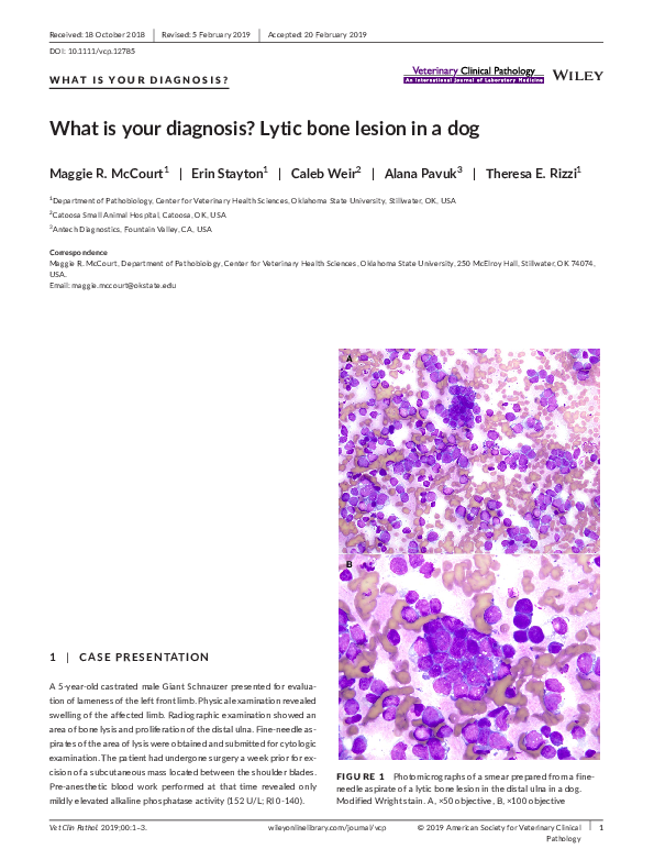 (PDF) What is your diagnosis? Lytic bone lesion in a dog