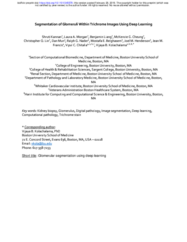 (PDF) Segmentation of Glomeruli Within Trichrome Images Using Deep Learning