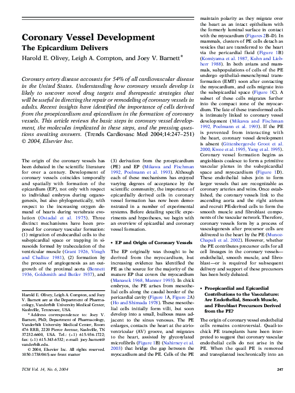 (PDF) Coronary Vessel Development | Harold Olivey - Academia.edu