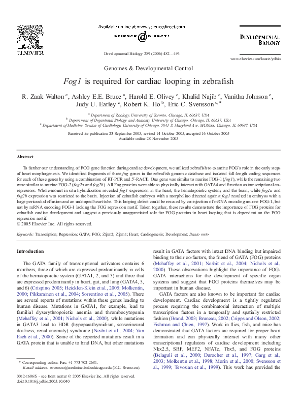 (PDF) Fog1 is required for cardiac looping in zebrafish