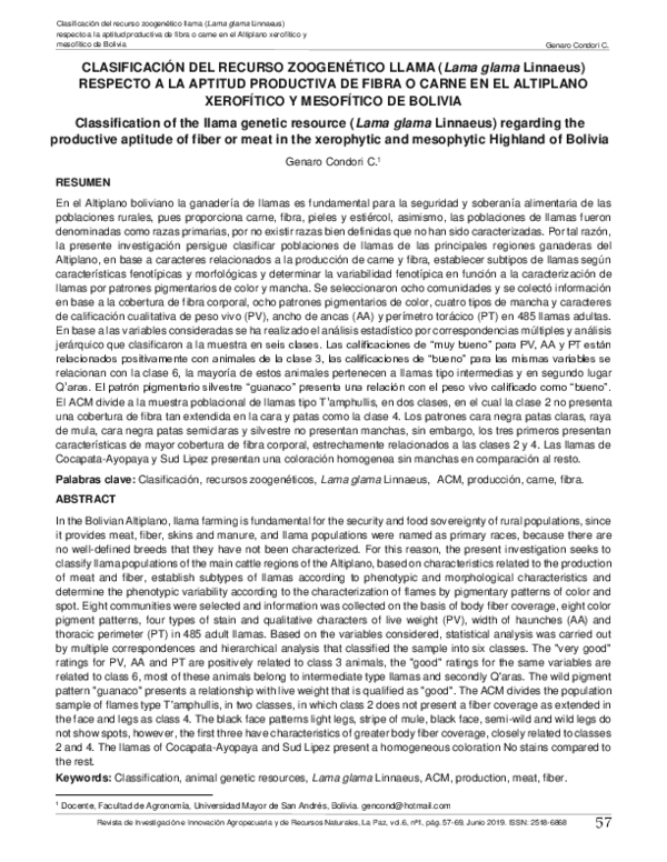 (PDF) Clasificación del recurso zoogenético llama (Lama glama Linnaeus ...