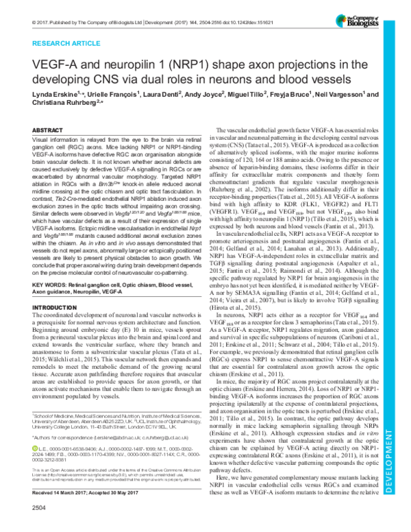 (PDF) VEGF-A and neuropilin 1 (NRP1) shape axon projections in the ...
